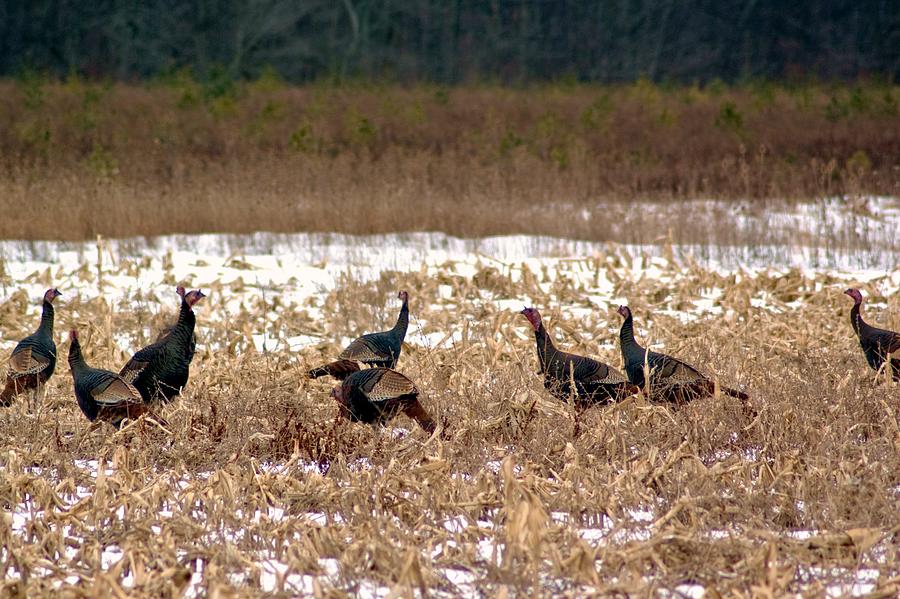 Family Photograph by Wade Buzanko