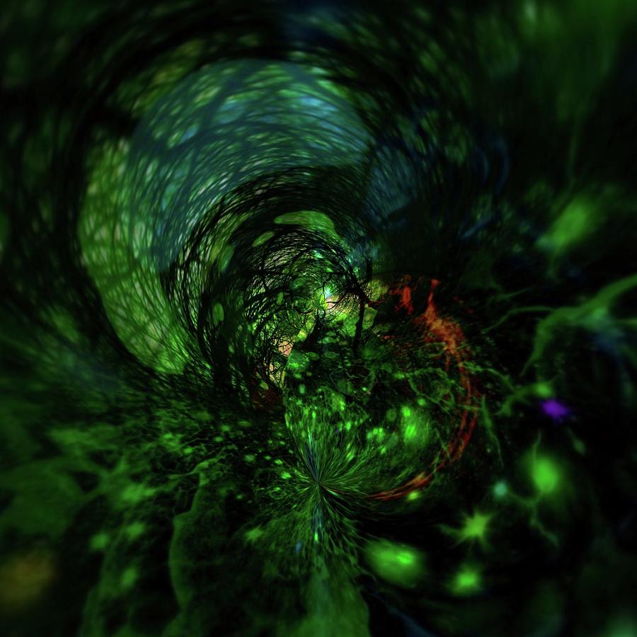 Fantasmal 8 Photograph by Jamie Holbrook - Fine Art America