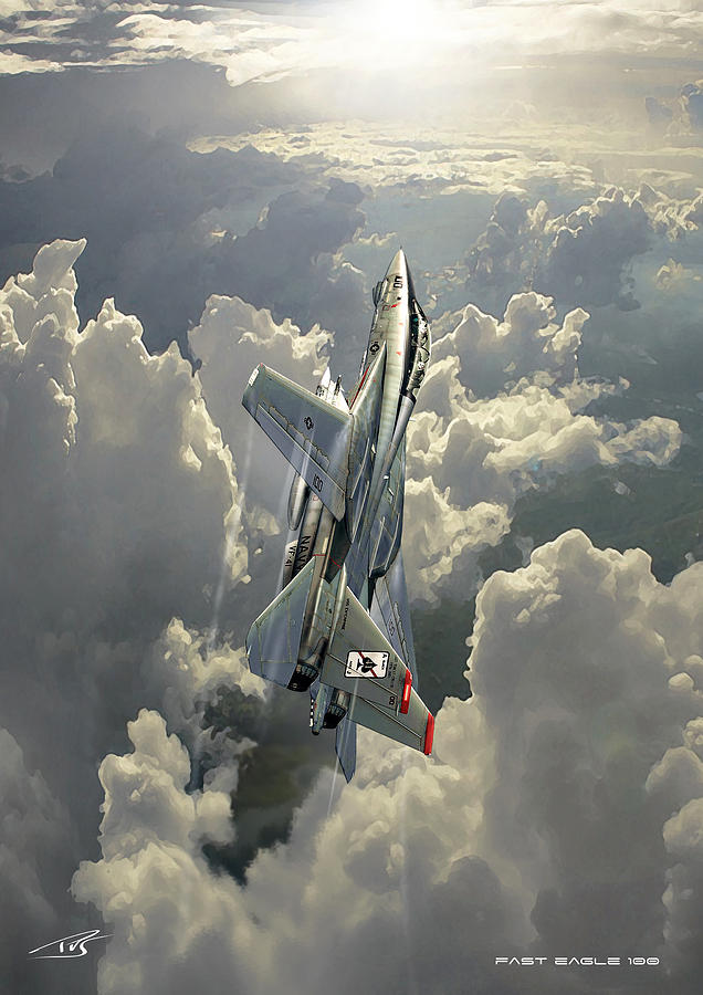 Fast Eagle One Zero Zero Digital Art by Peter Van Stigt - Fine Art America