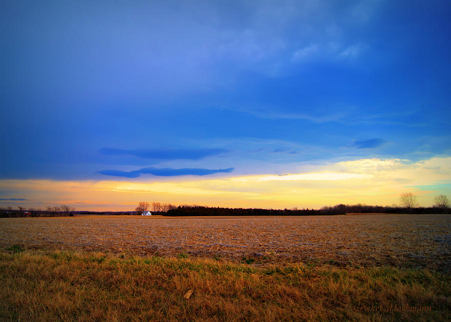 February Fields Photograph by Cricket Hackmann - Fine Art America