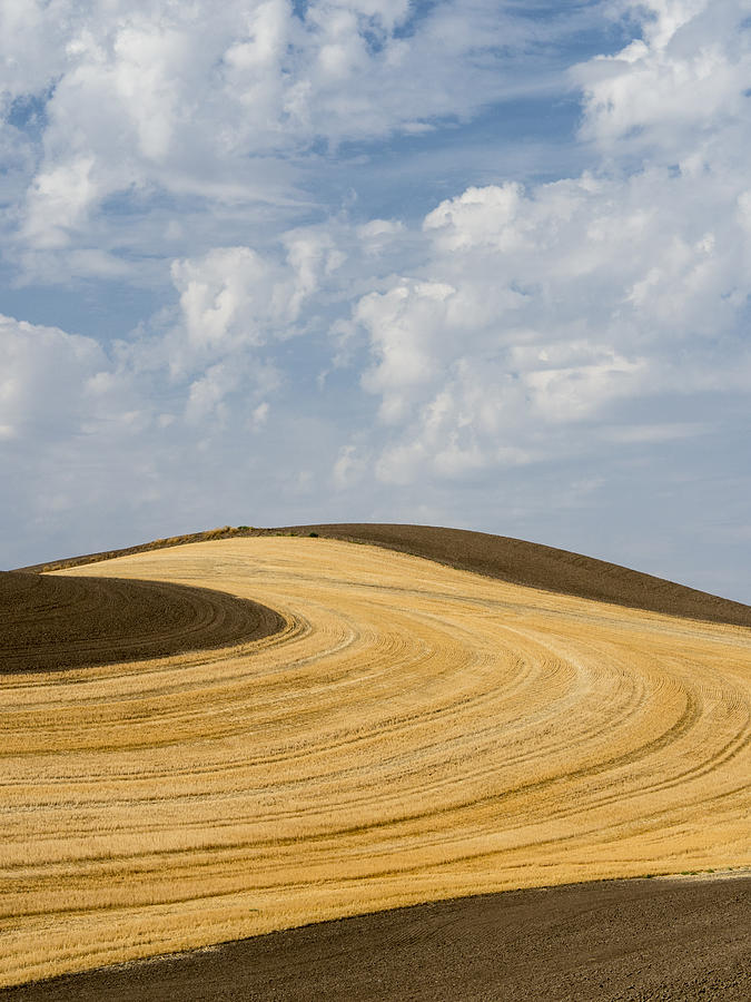 Field Pattern Photograph by Dan Leffel - Fine Art America