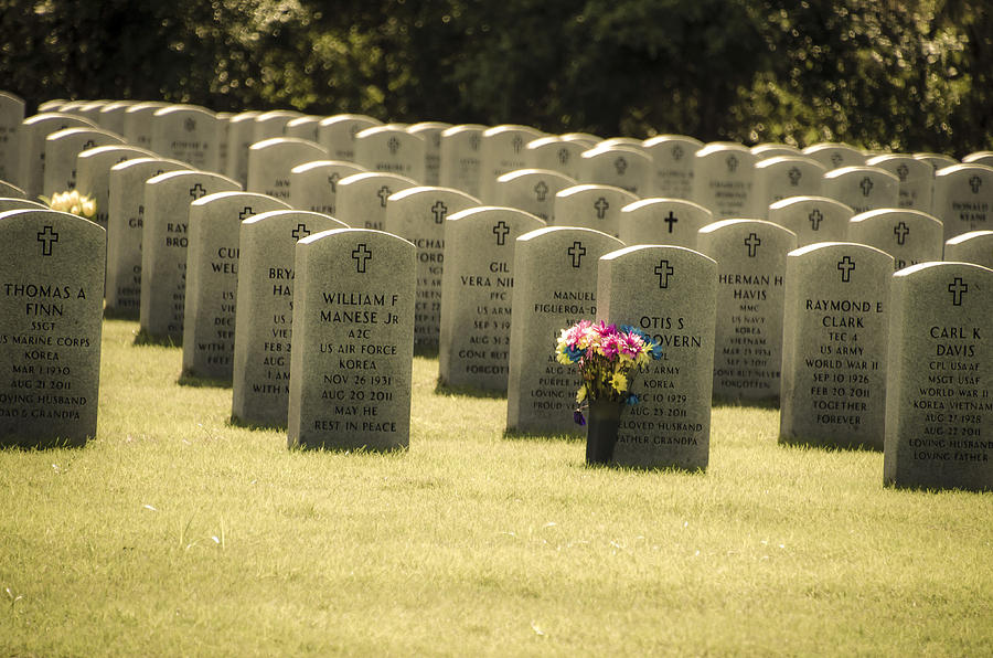 Final Formation Photograph by Dick Hudson - Fine Art America