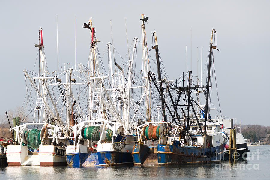 Fishing Fleet Photograph by Tom Rostron - Pixels