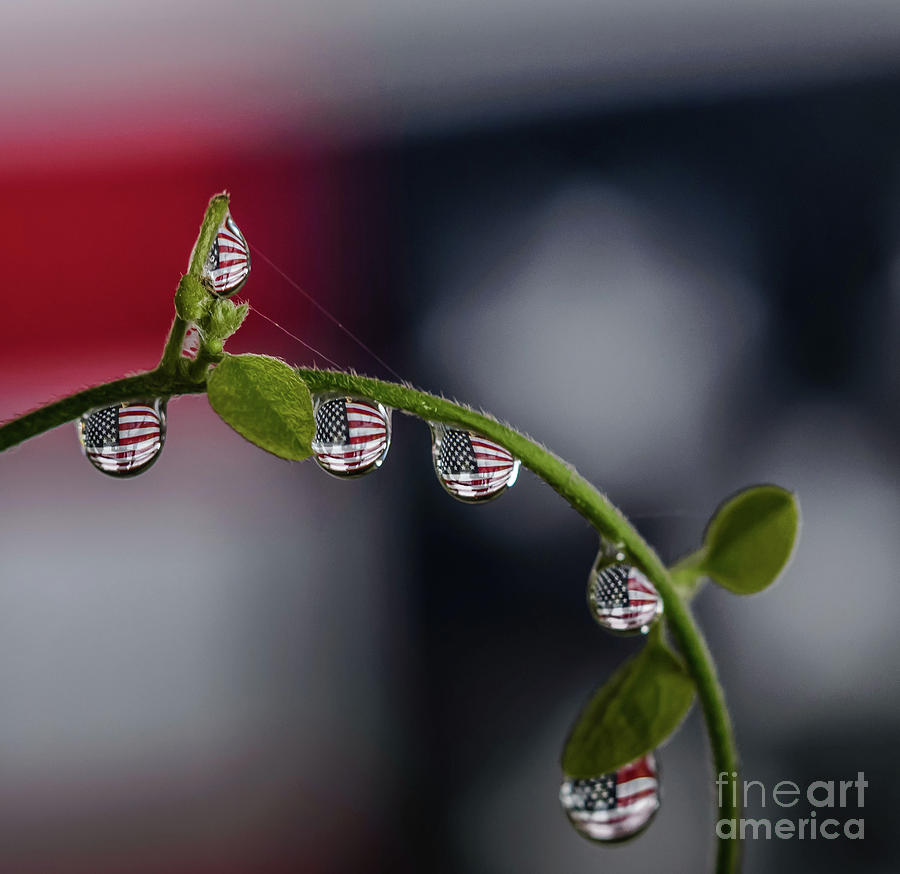 Flag Reflection Photograph by Jairos Rosiles | Fine Art America