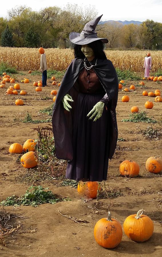 Floating Witch Photograph by Dennis Boyd | Pixels