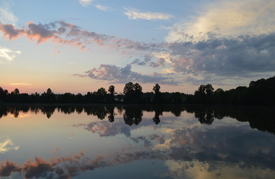 Florida Dawn Photograph by Roy Erickson - Fine Art America