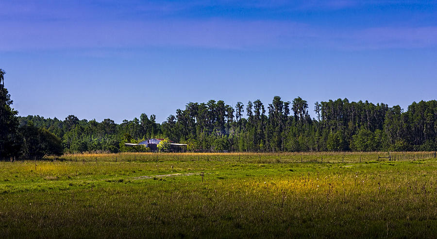 Florida Ranch Photograph by Marvin Spates - Fine Art America
