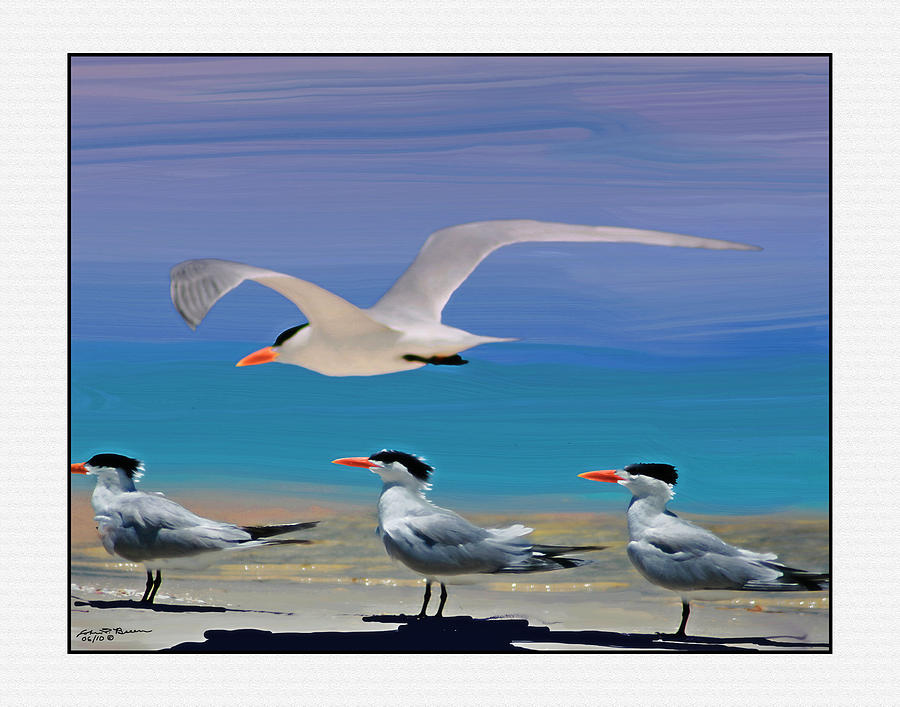 Fly Over Painting by John Breen - Fine Art America