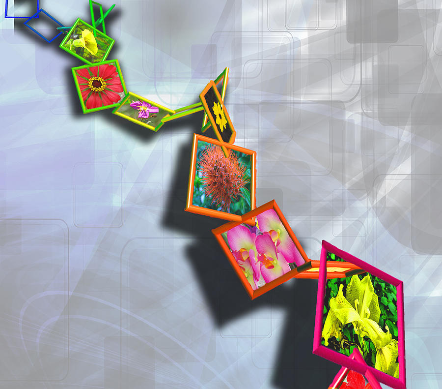 Flying Frames Photograph by Edelberto Cabrera - Fine Art America