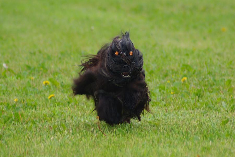 Flying Hair Photograph by Wade Buzanko - Fine Art America