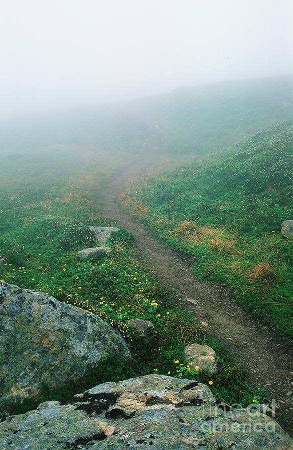 Foggy mountain path Photograph by Ronnie Glover - Fine Art America