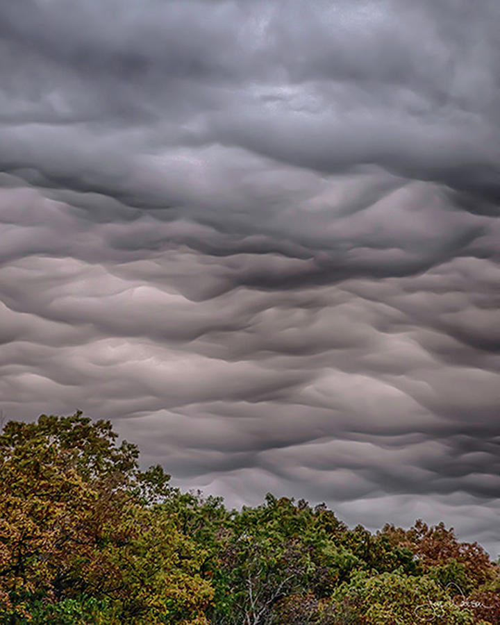 Forboding Photograph by Joy Watson - Fine Art America