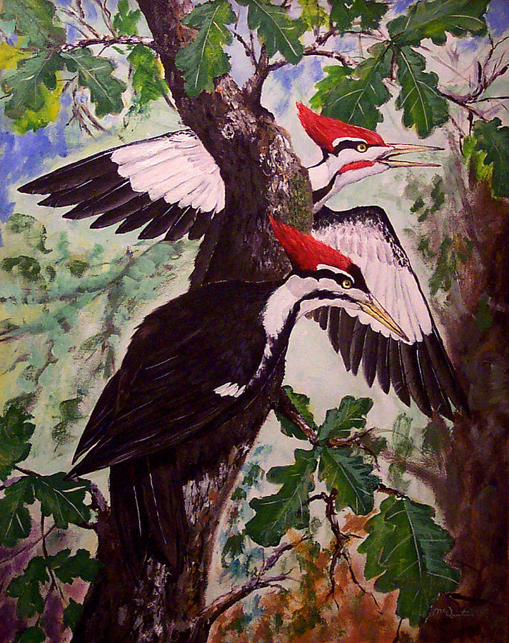 Forest Echo Painting by Daniel McQuestion - Fine Art America