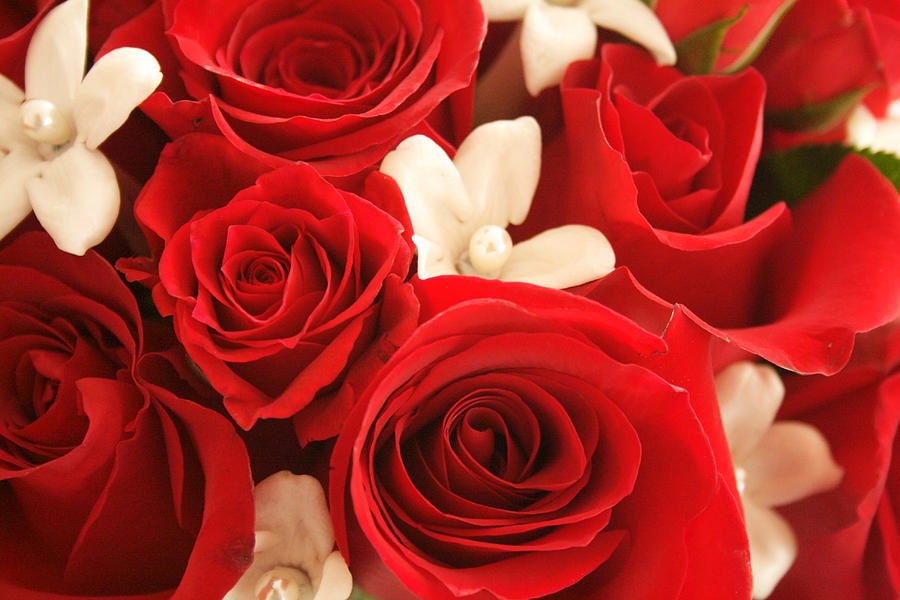 Forever Rose Bouquet Photograph by JoDee Luna | Pixels