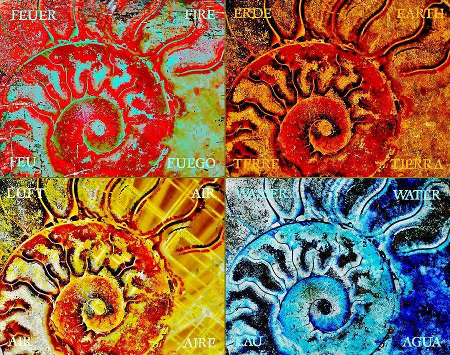 Four Elements Collage Photograph by Werner Lehmann - Pixels