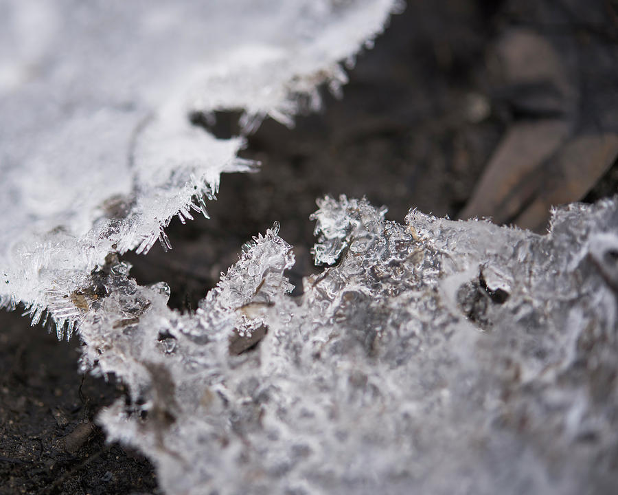 Fragmented Ice Photograph by Brian Stricker | Fine Art America