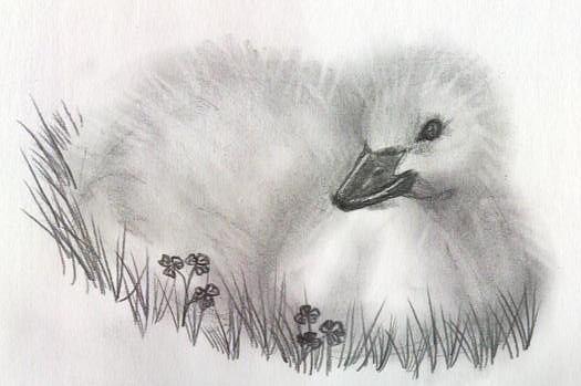 Fuzzy Drawing by Patricia Merewether