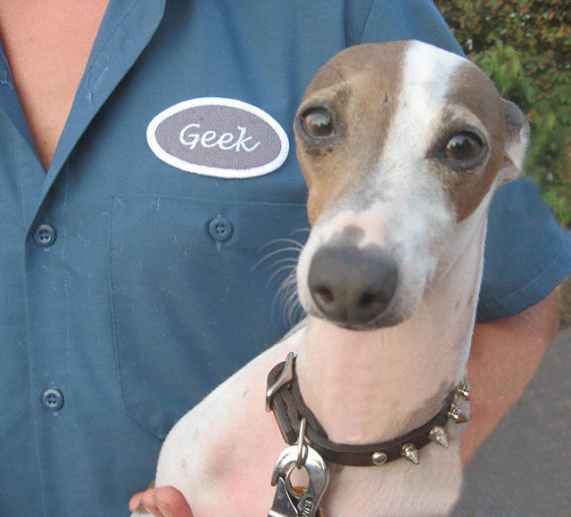 Geek Photograph by Heidi Berkovitz - Fine Art America