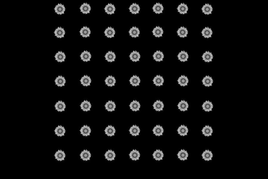 Geometric Sunflowers Black White Digital Art by Joan Han - Fine Art America