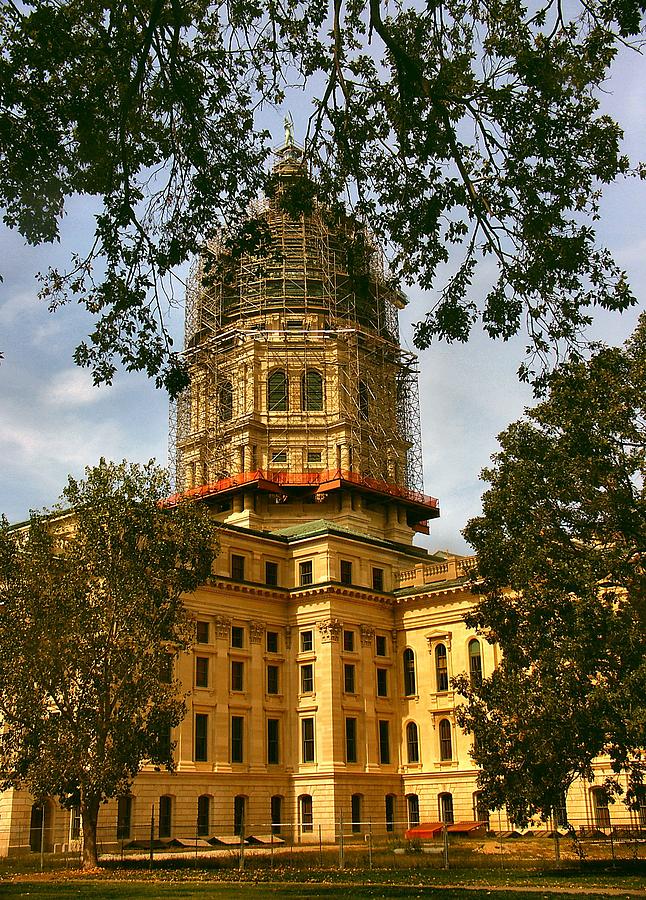 Getting a New Do Photograph by Lynne and Don Wright - Pixels