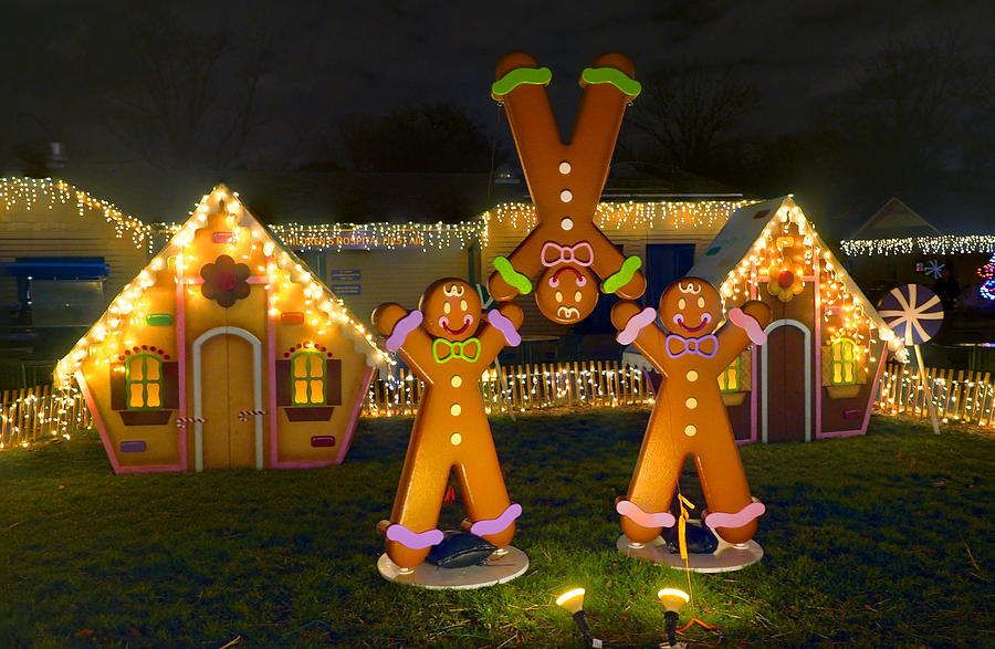 Gingerbread Men Gymnastics Photograph by C H Apperson