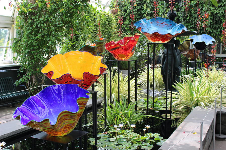 Glass Sculptures At New York Botanical Garden Photograph By David Zuhusky Fine Art America