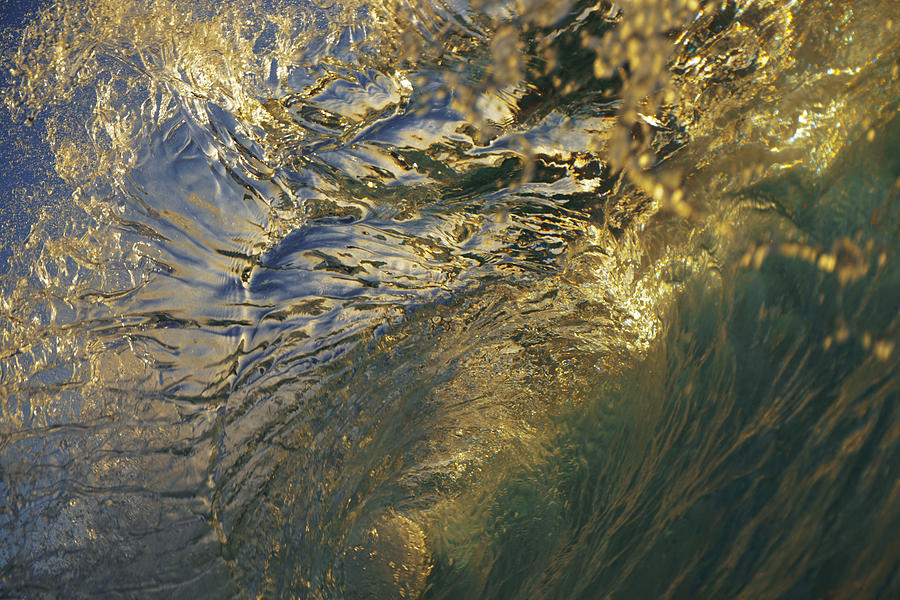 Golden Flare Photograph by Mason Schneck - Fine Art America