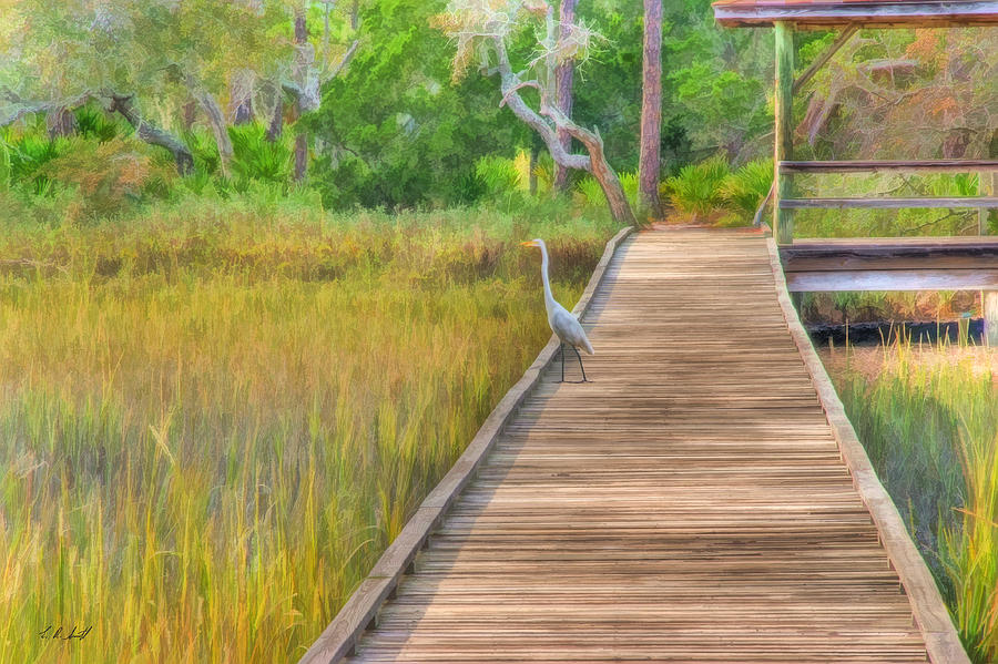 Grace Photograph by E R Smith - Fine Art America