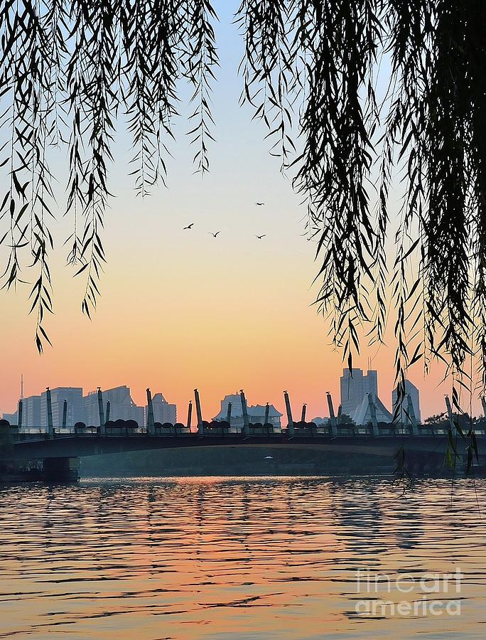 Grand Canal Photograph by Yinguo Huang - Fine Art America