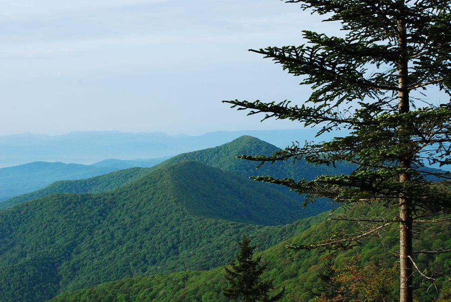 Great view Photograph by Sue McQueen - Fine Art America