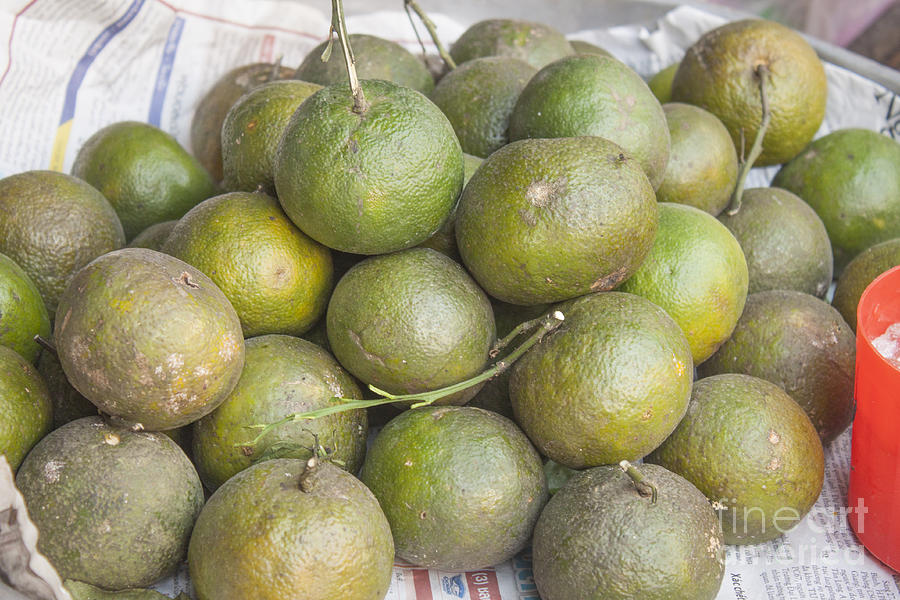 Green orange Photograph by D R - Fine Art America