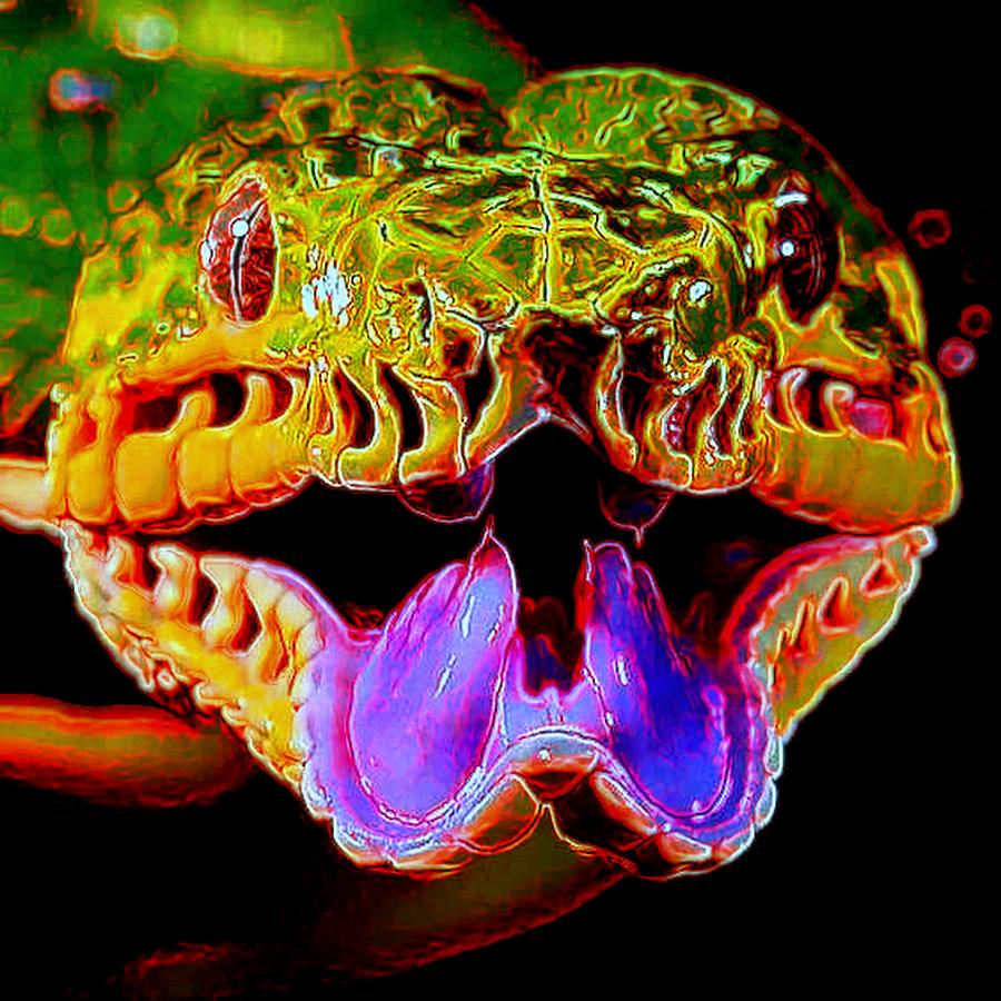 Green Python Digital Art by Michael Todd - Fine Art America