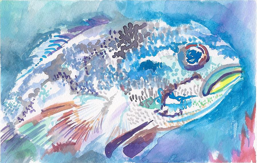 Grumpy Fish Profile Painting by Sarah Drum - Fine Art America