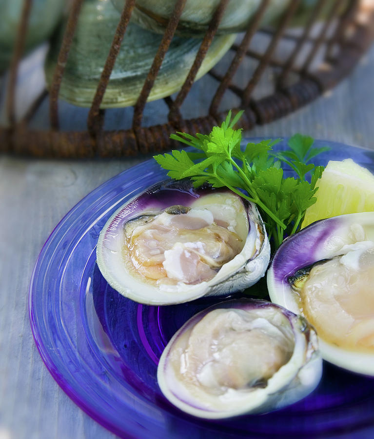 Halfshell Photograph by John Stuart - Fine Art America