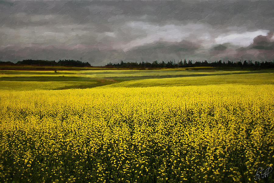 Hay Fever Photograph by George Sipl - Fine Art America