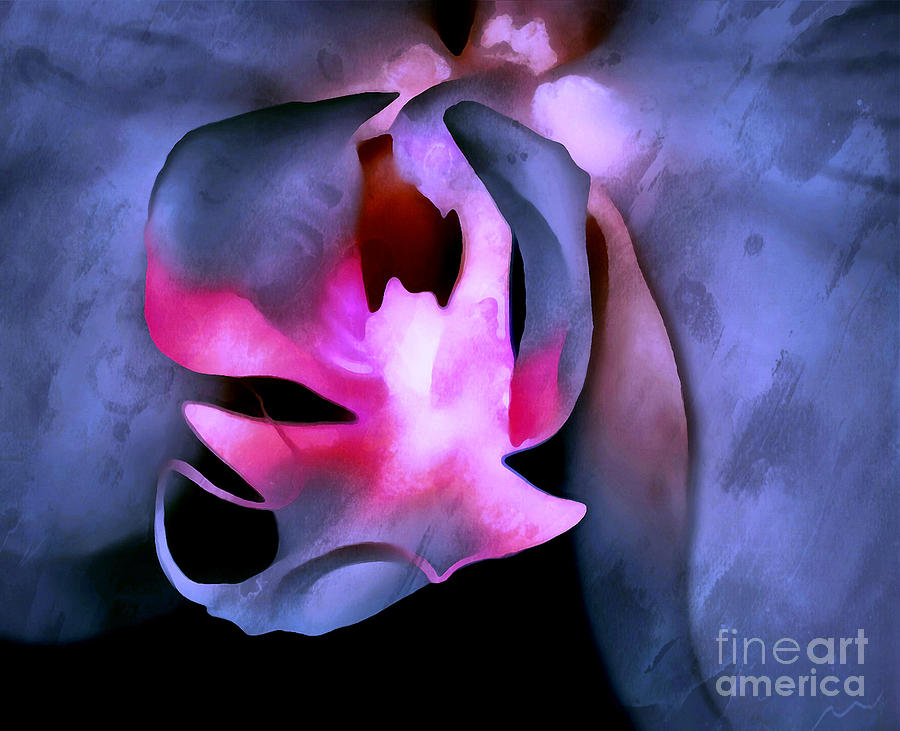 Heart Of The Orchid Photograph By Krissy Katsimbras Fine Art America