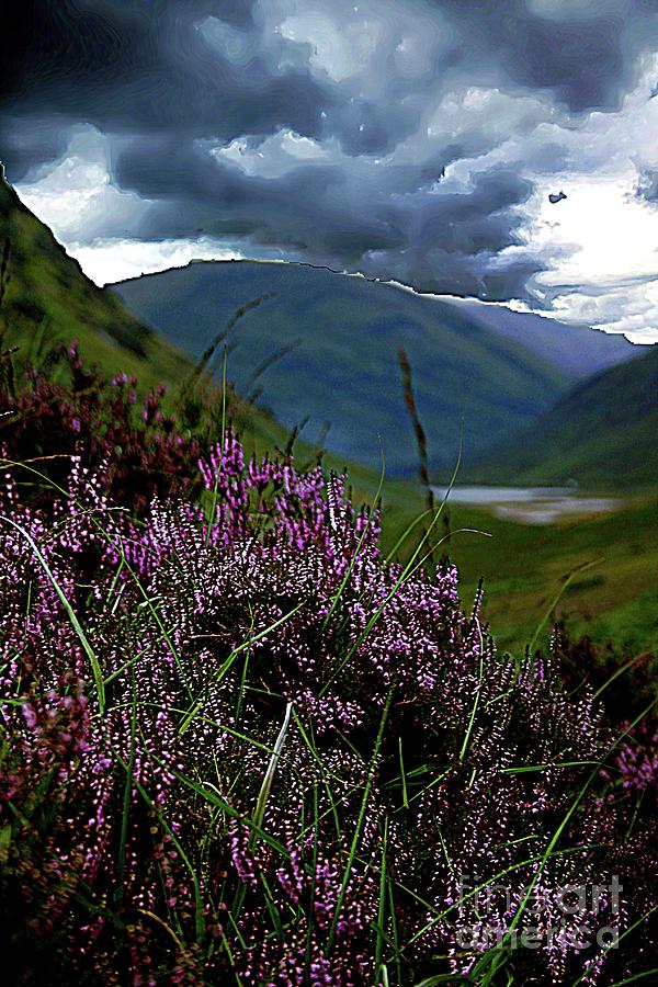 Heather, Mountains, and Clouds Photograph by John Kenealy - Fine Art ...