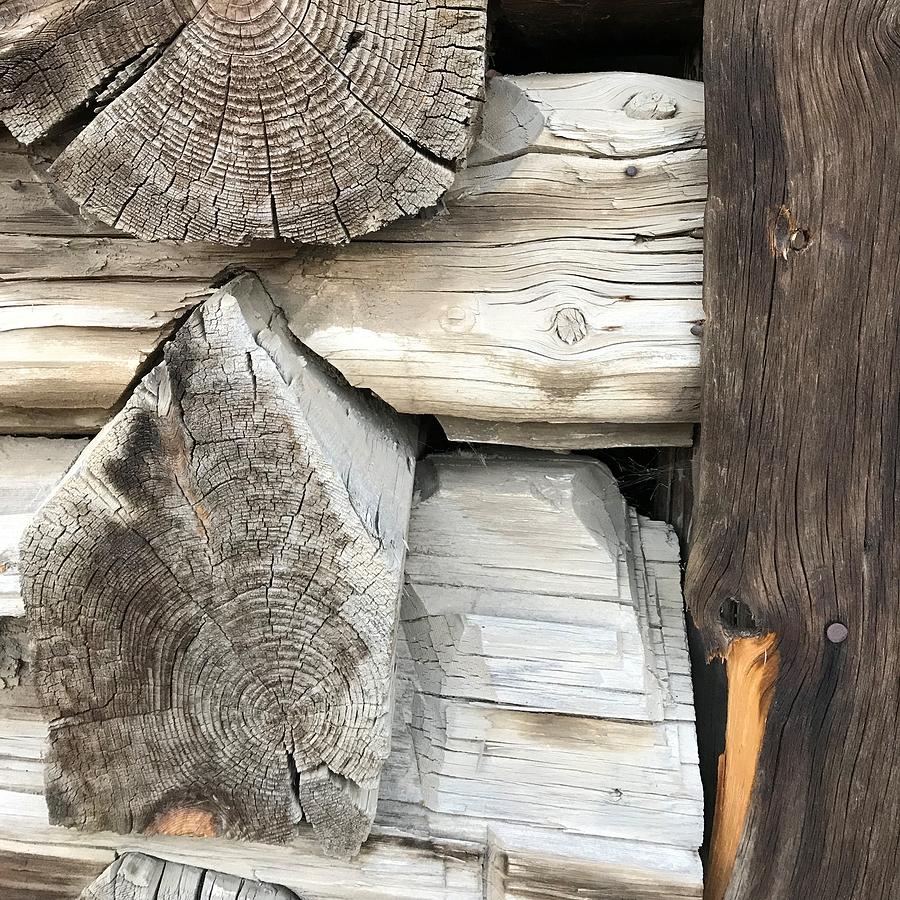 Hexagonal Log Photograph by Wyoming Beautiful - Fine Art America