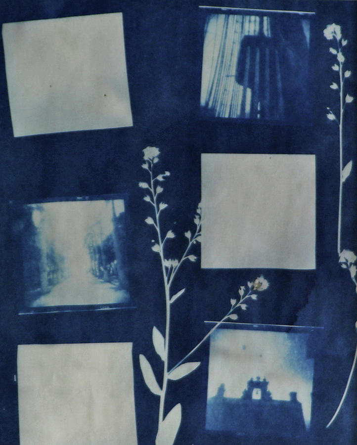 Holga Negative Cyanotype Photograph by Lisa Shea | Fine Art America