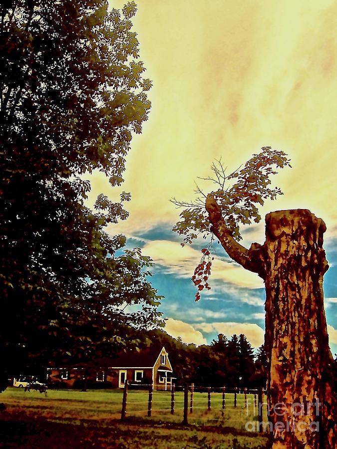 Hope Springs Eternal Photograph By Elizabeth Tillar Fine Art America