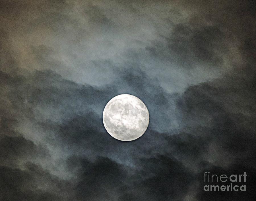 Howl at the Moon Photograph by Angela Weis - Fine Art America