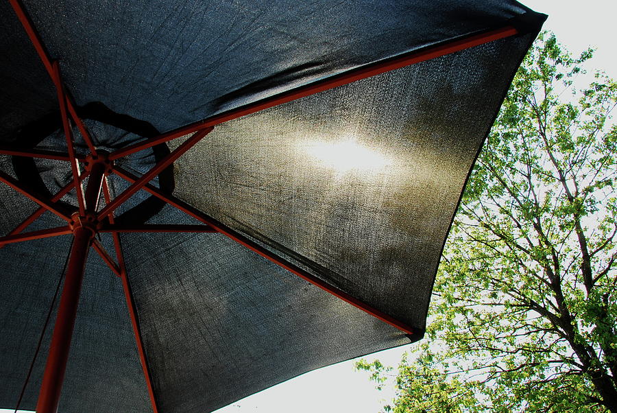 In the shade. Photograph by Lucas Schofield - Fine Art America