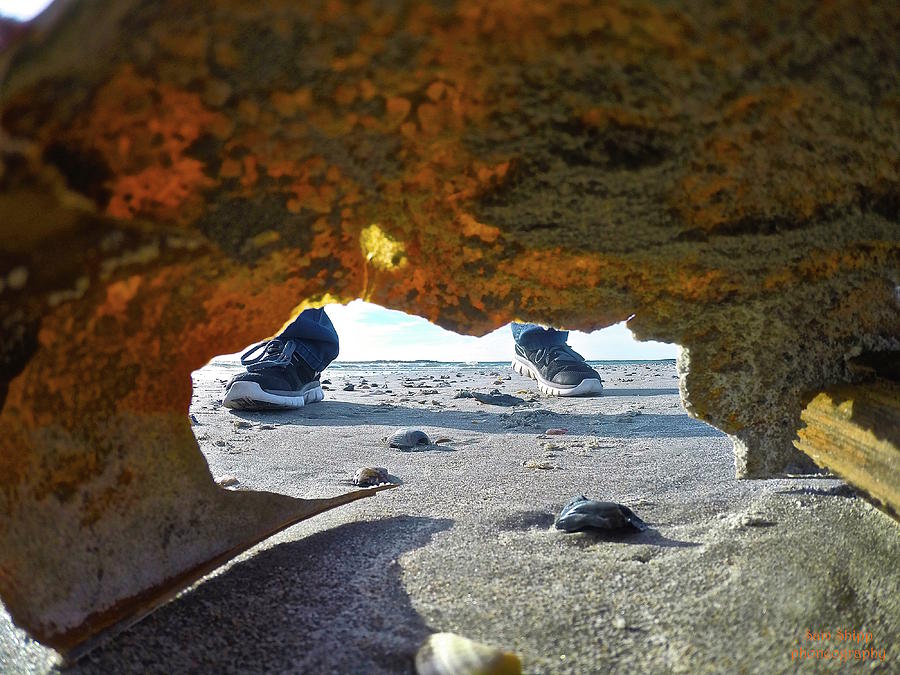 Inside looking out. Photograph by Sam - Pixels
