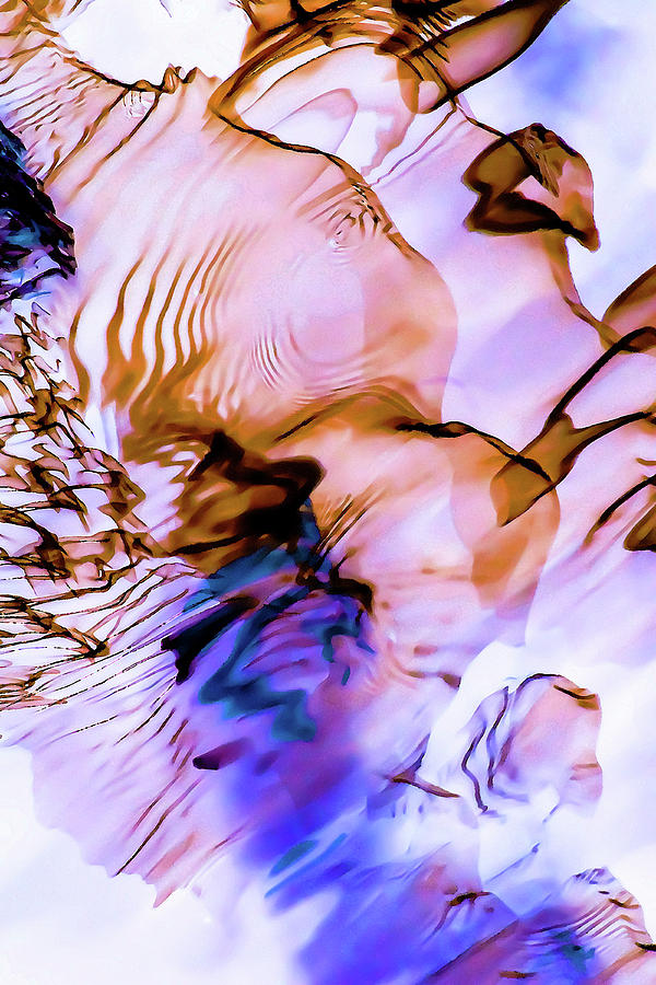 Inverted Reflection Abstract 419 Photograph by Craig Royal | Fine Art ...