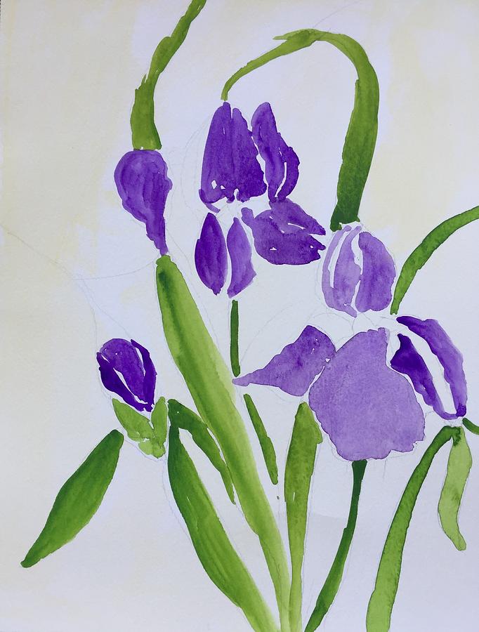 Iris in Progress Painting by Susan Haddock - Fine Art America