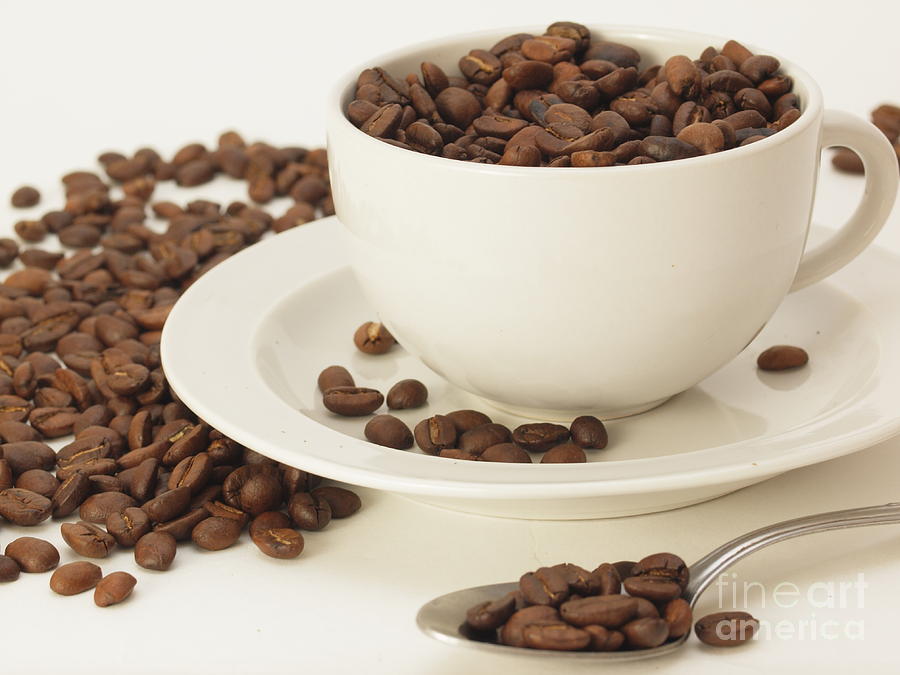 Java Beans Photograph by Valerie Morrison - Fine Art America