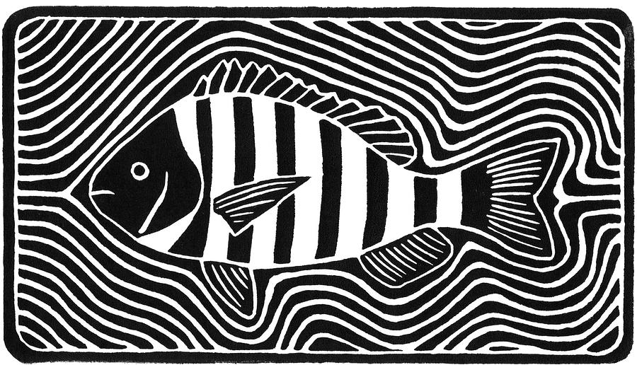 Jekyll Sheepshead Drawing by Ed Einboden