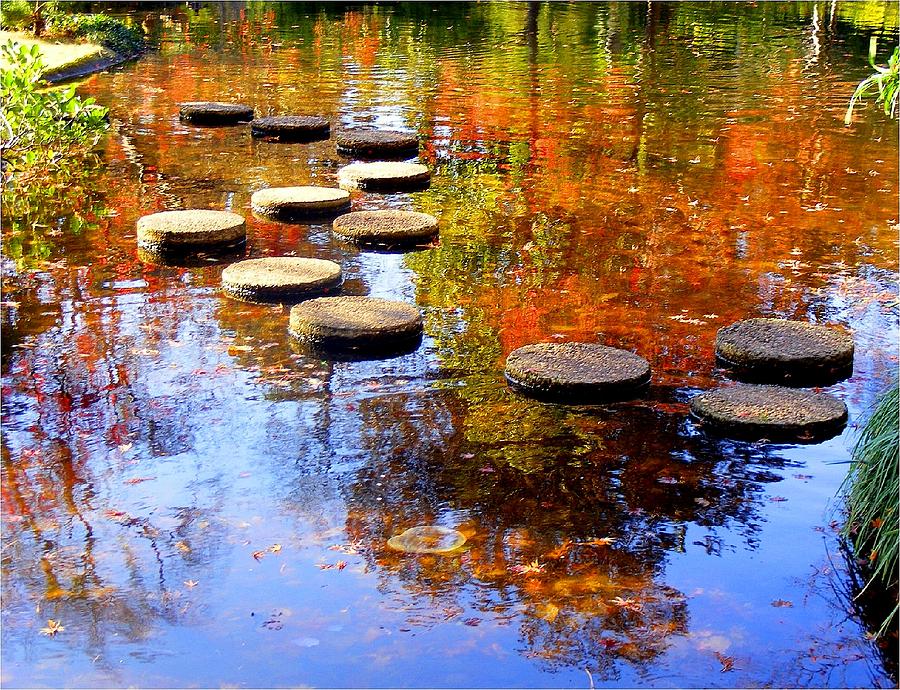 Journey Of Life Photograph By Sherwanda Irvin Fine Art America