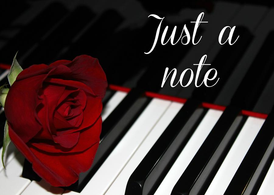 Just A Note - Red Rose Photograph by Classically Printed - Fine Art America