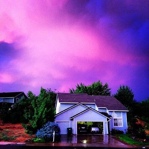 Lavender Photograph by Michael Lantis - Fine Art America